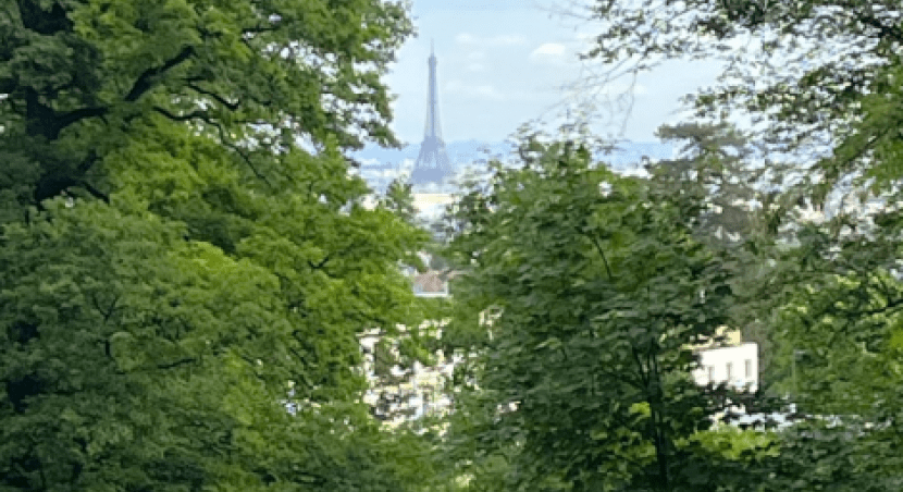 LA FORÊT DOMANIALE DE MEUDON | VILLE DE CLAMART